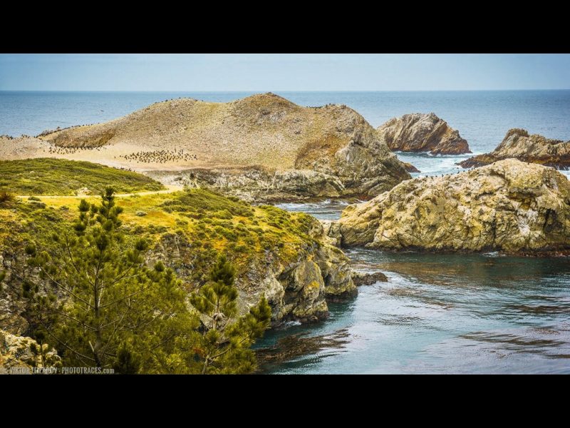 Ultrawide Aspect Ratios Explained – 32:9, 21:9, 12:5 (2.4:1)